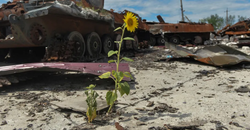 Повномасштабна війна завдала екології України мільярдних збитків Zprz City