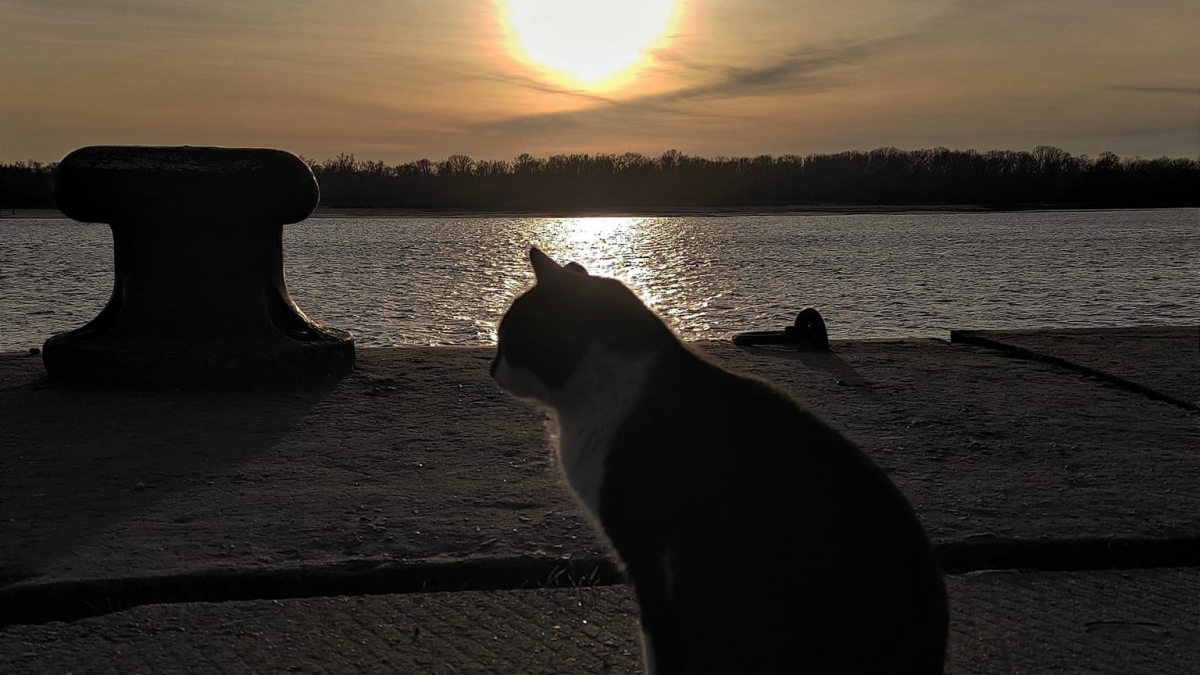 Чи тепло буде 29 лютого та 1 березня - прогноз погоди для Запоріжжя ...